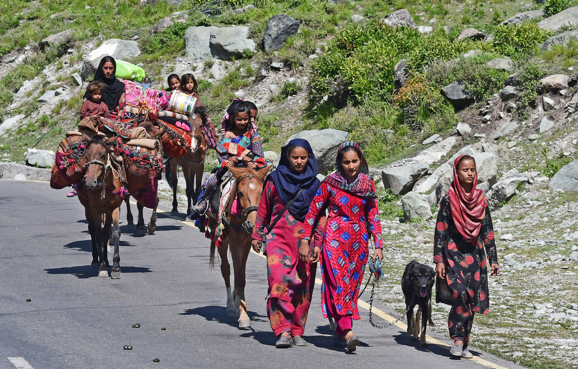 The Miseries of Nomadic Tribes! - Greater Kashmir
