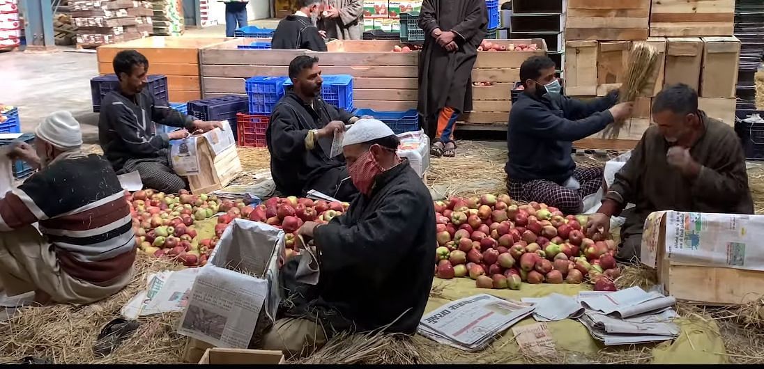 Paucity of cold stores impacting apple economy - Greater Kashmir