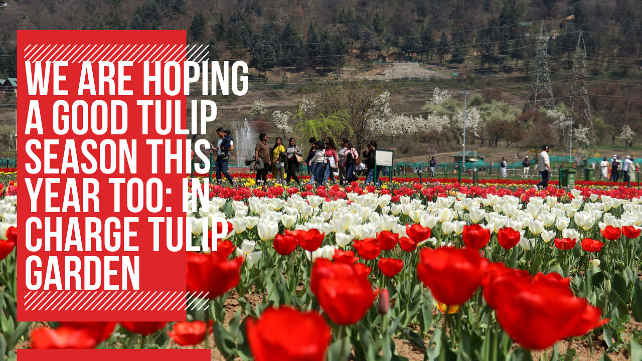 Video | High rise fountain, newer varieties of flowers to add to grace ...