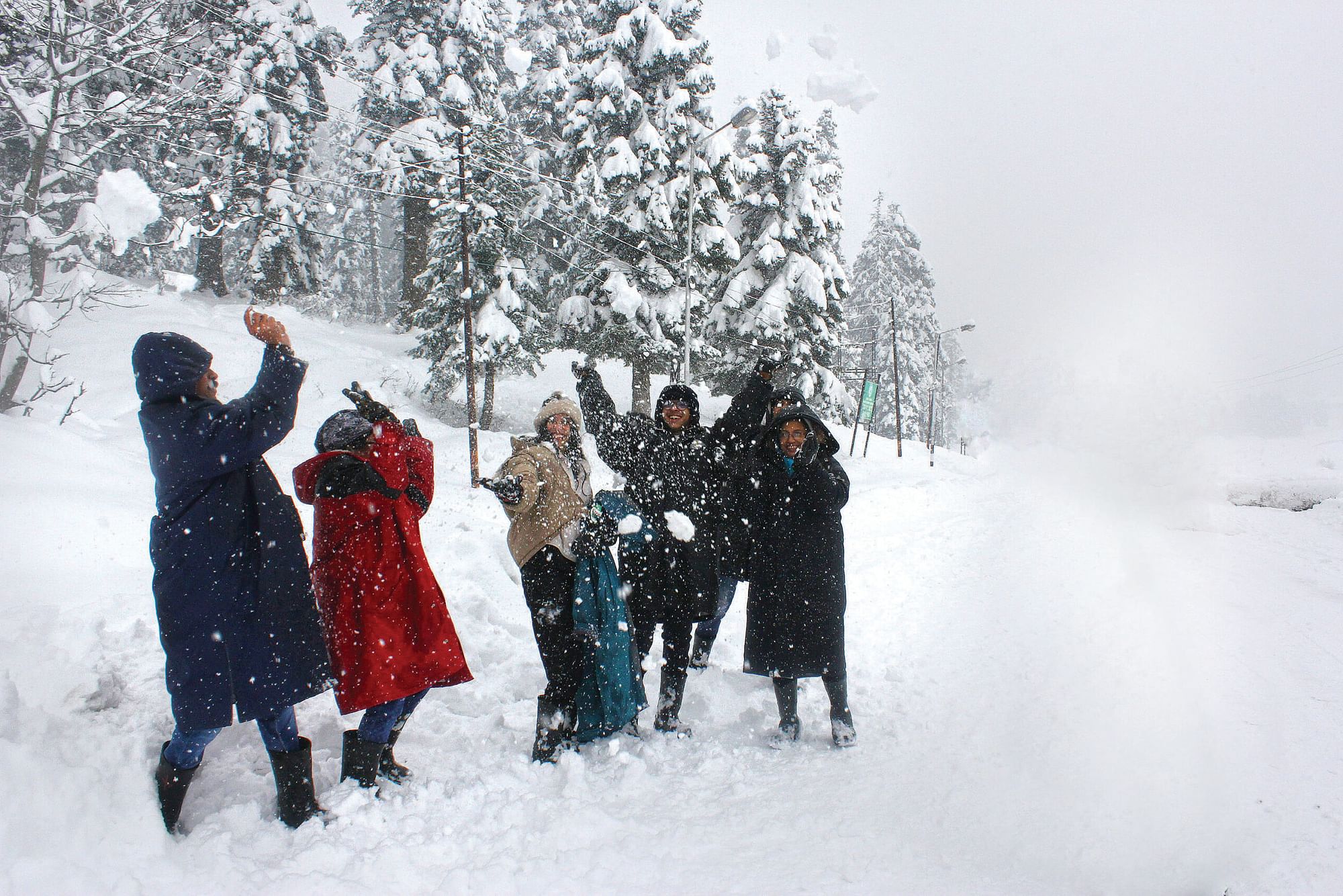 The Snow Memories - Greater Kashmir