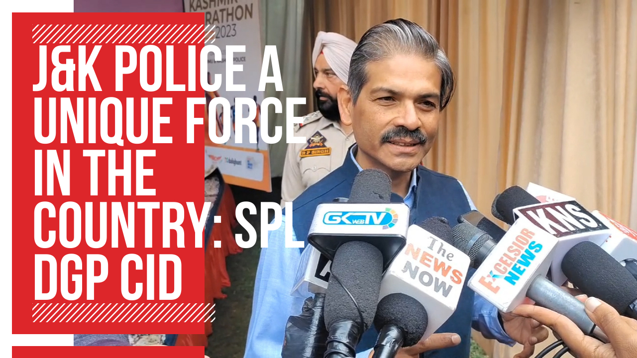 Video | Man turns house into museum, preserves Kashmir's Dard-Shin ...