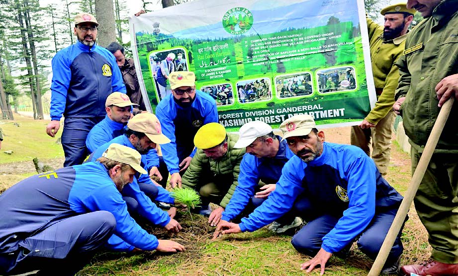 Plantation drive carried out in Sindh forest range Kangan - Greater Kashmir
