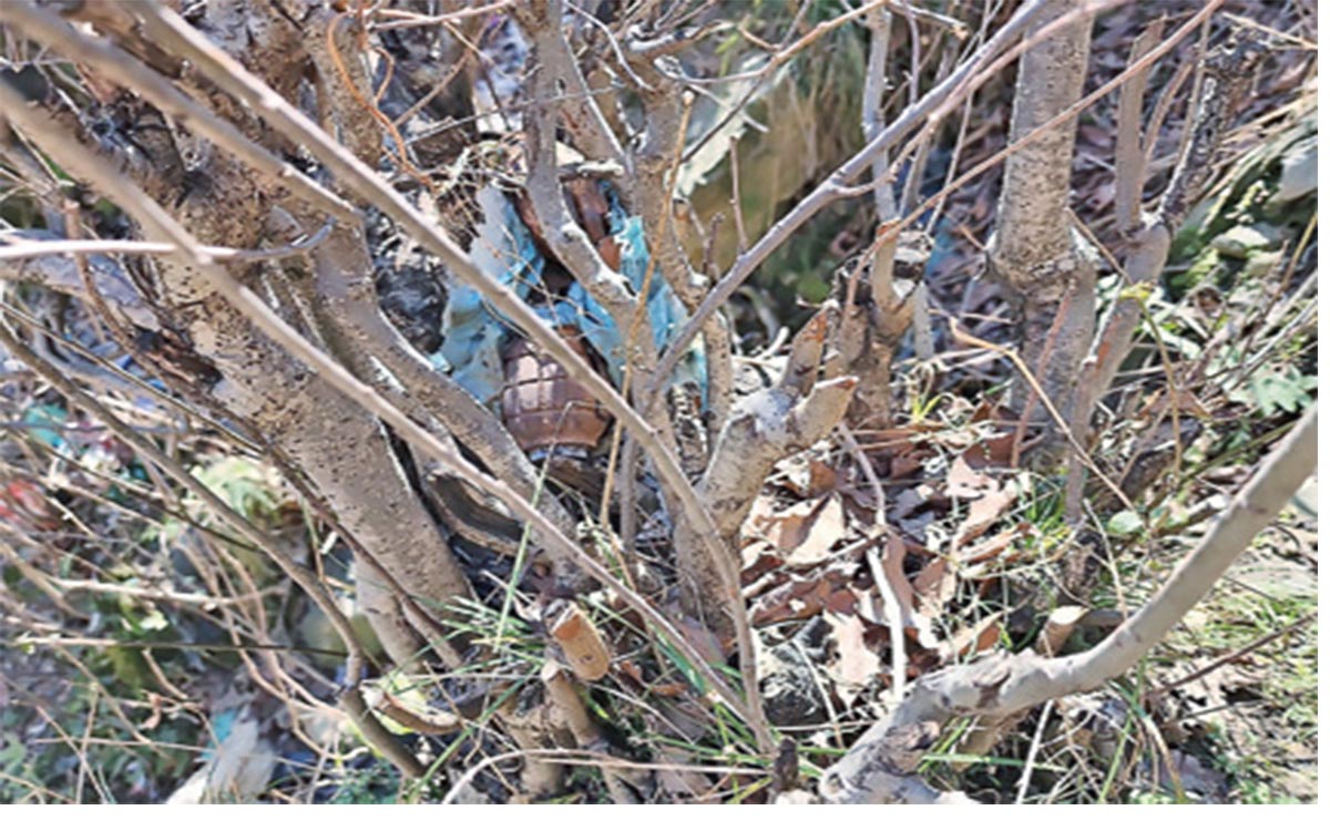 2 hand grenades recovered in Darhal - Greater Kashmir